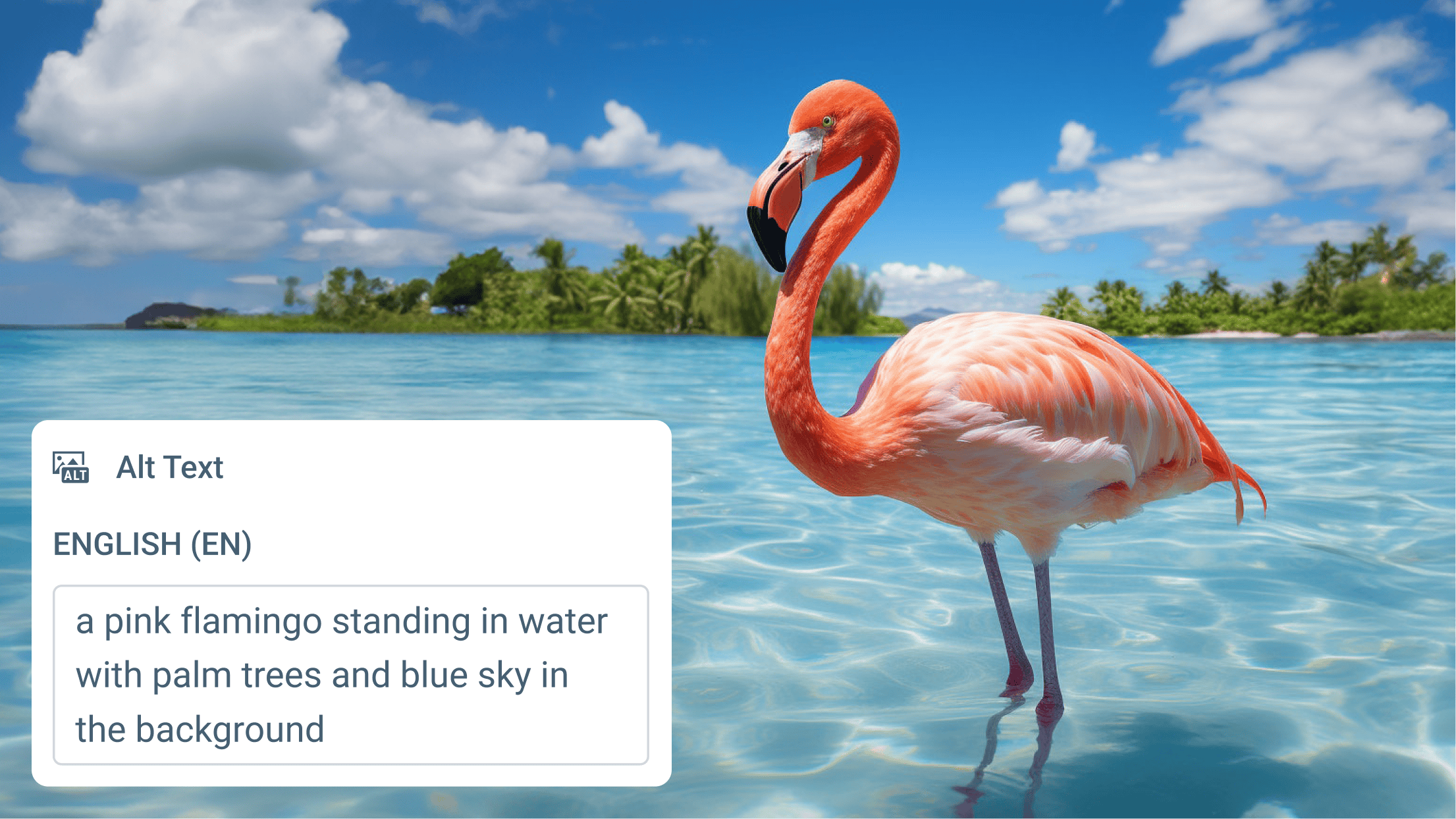 Intelligently Transform Your Visuals with imgix